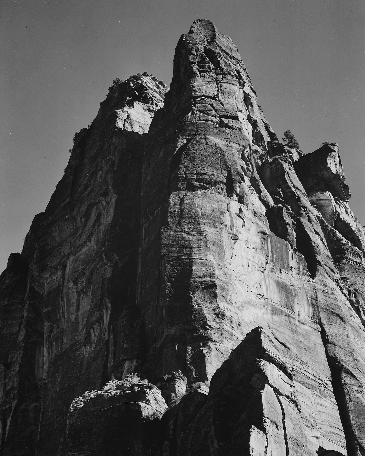 Zion National Park | Outdoor Revival