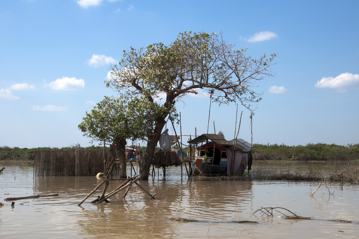 Making Fish Traps From Whatever Is Available - Outdoor Revival