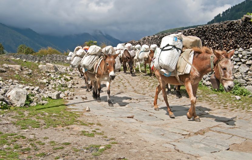 Trading Caravans In Ancient Times Outdoor Revival