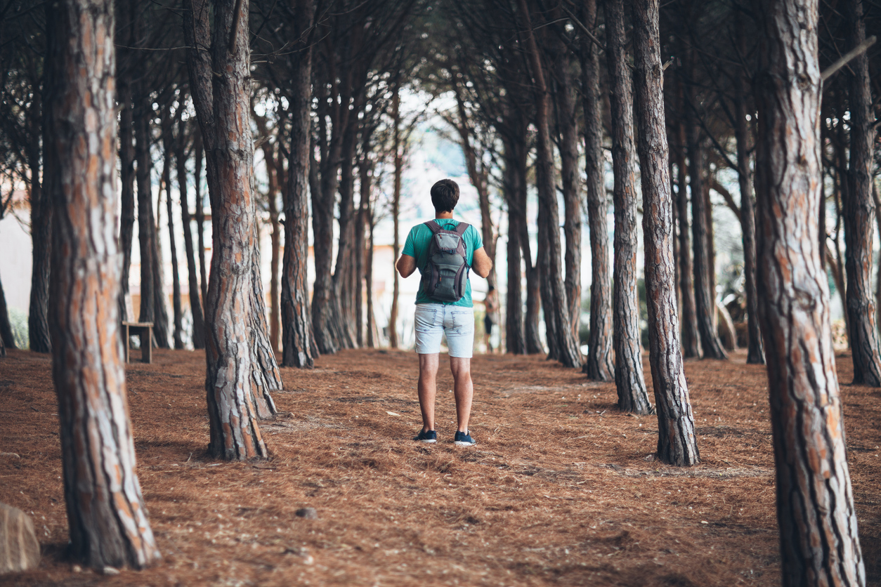 Navigating Without Survival Equipment - Outdoor Revival
