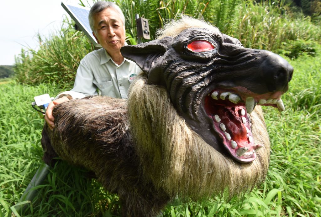 Bizarre Robotic Monster Wolves That Howl When Approached to Scare off ...